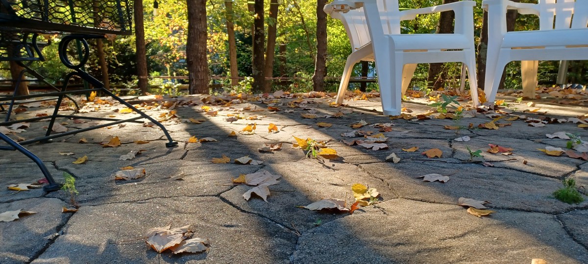 Kelly Keller – Books — Church — Culture